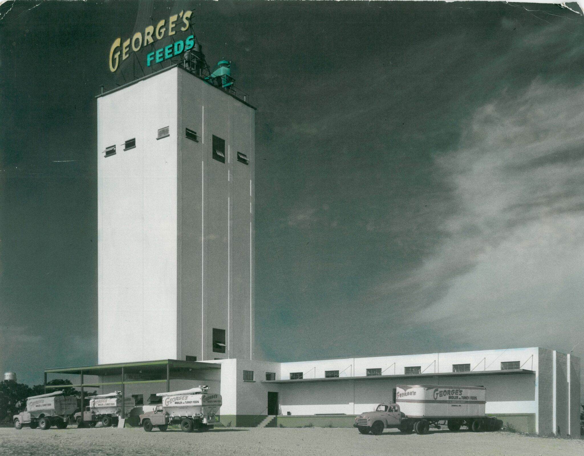 Poultry and Prepared Foods - George's Inc.